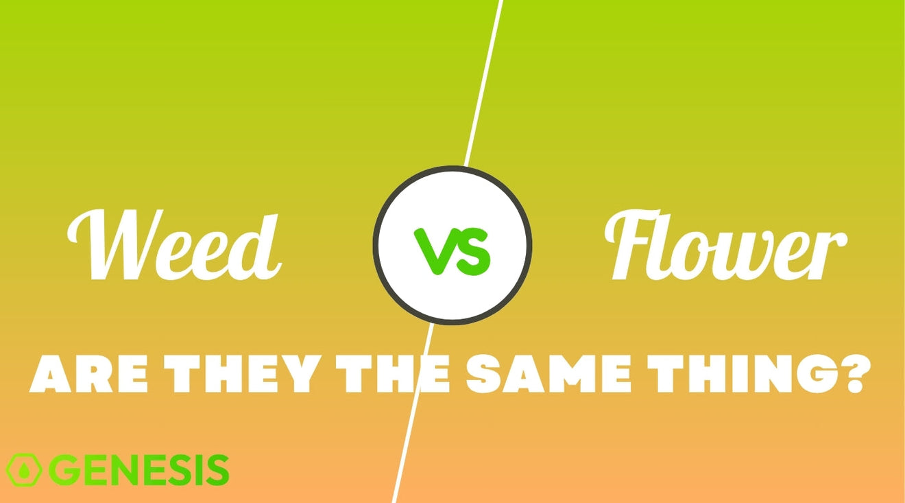 Weed or Flower? Clarifying Cannabis Terminology – Genesis