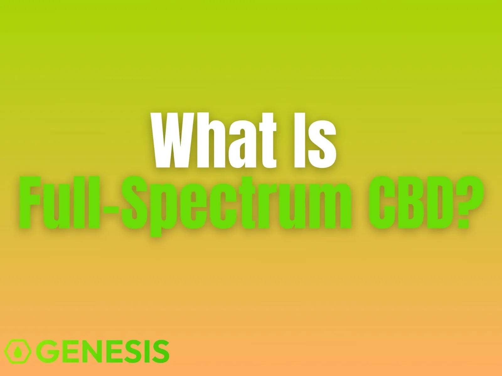 What Is Full-Spectrum CBD? A Clear Beginner’s Guide – Genesis